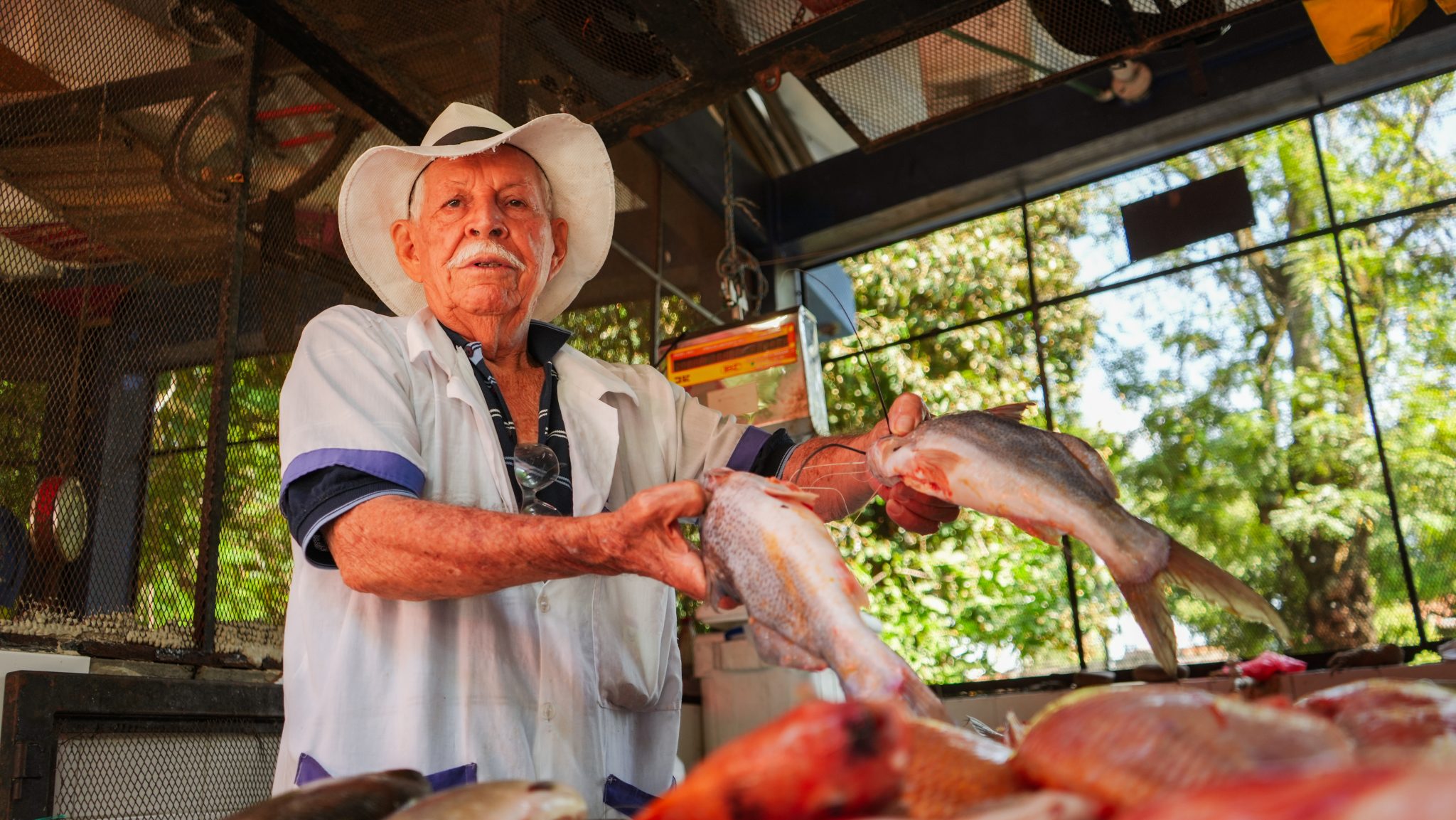 Cumbre clave de la AUNAP para afianzar el trabajo con pescadores y ...